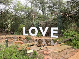 Read My Sign – Radically Retired